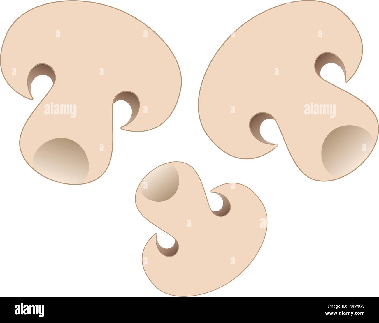 Sliced of mushroom. Top view macro detail sliced fresh mushroom texture ...