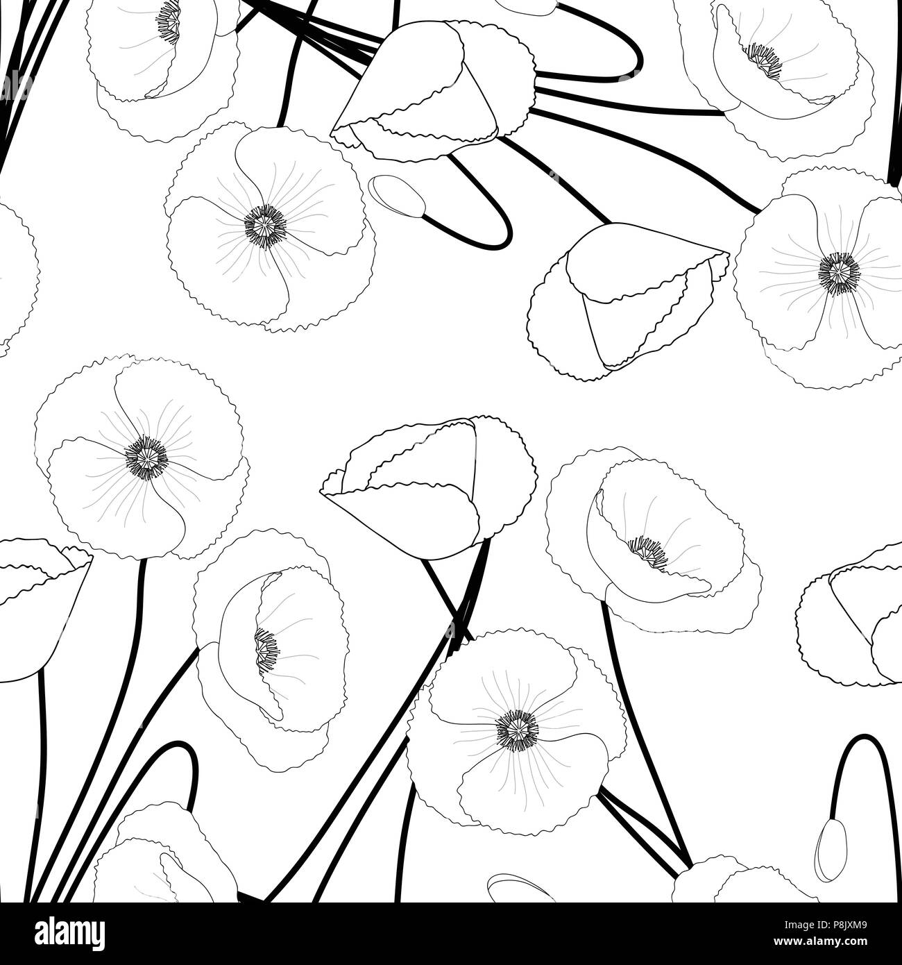 Corn Poppy on White Background. Vector Illustration Stock Vector Image ...