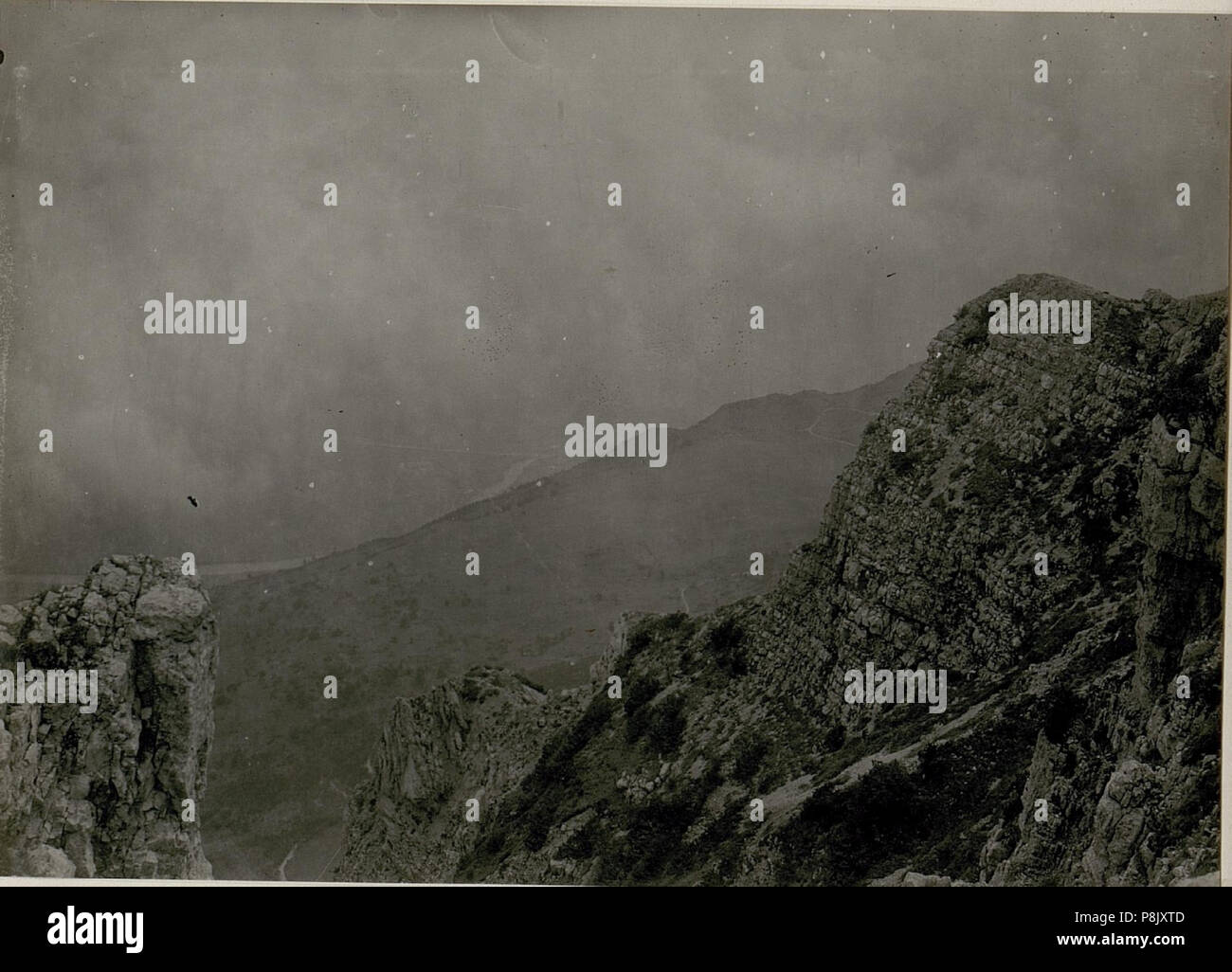 Stivo hi-res stock photography and images - Alamy