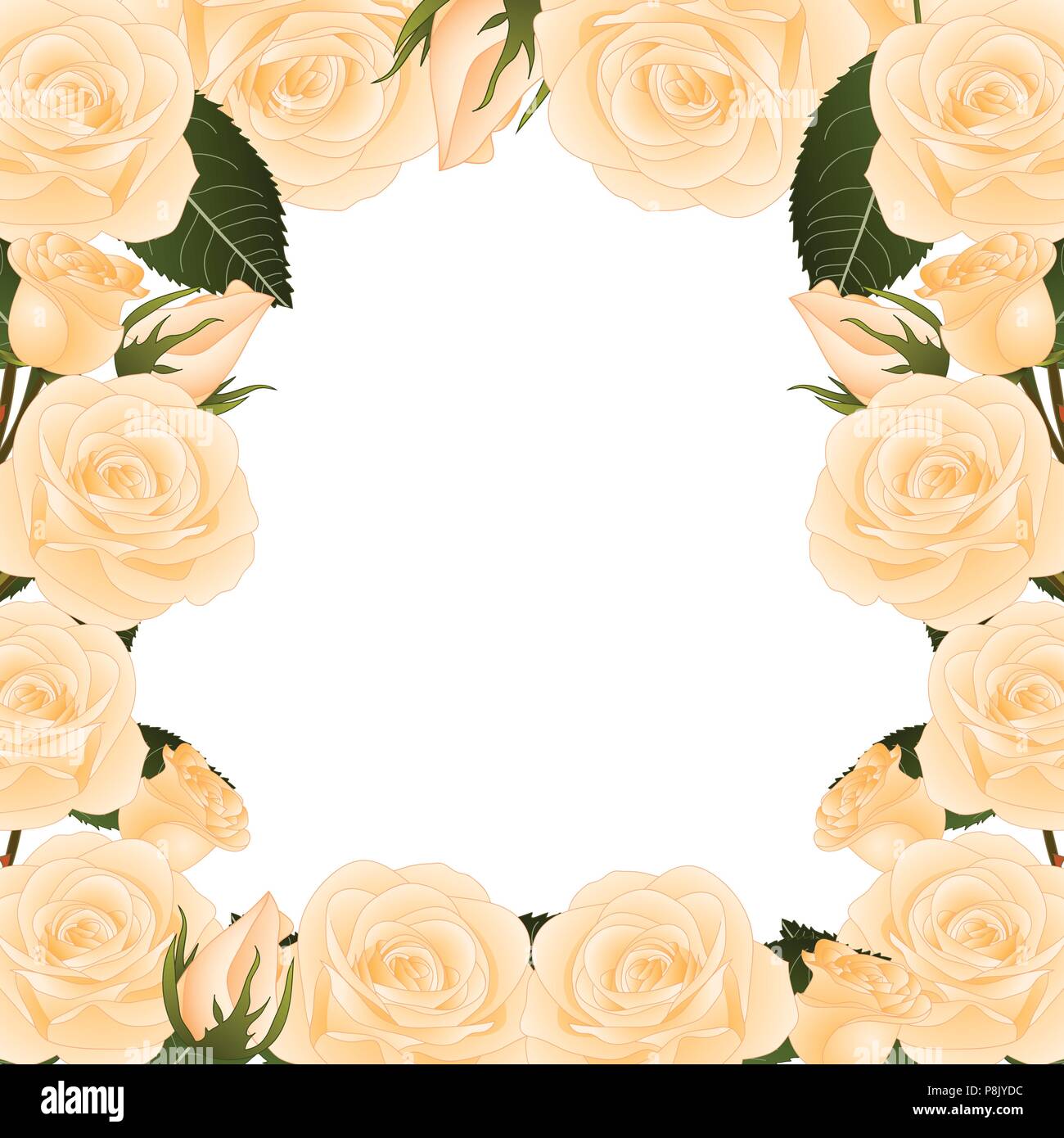 Orange Rose Flower Frame Border. isolated on White Background. Vector ...