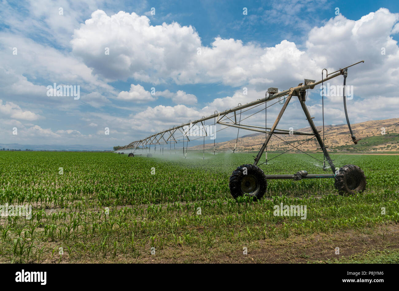 Lateral move irrigation system Stock Photo - Alamy
