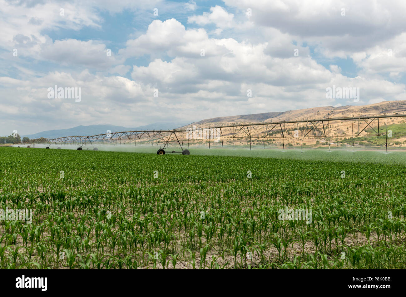 Lateral move irrigation system Stock Photo - Alamy