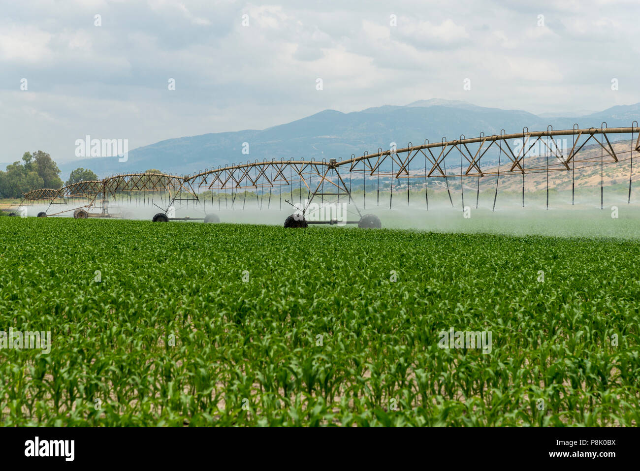 Linear move irrigation hi-res stock photography and images - Alamy