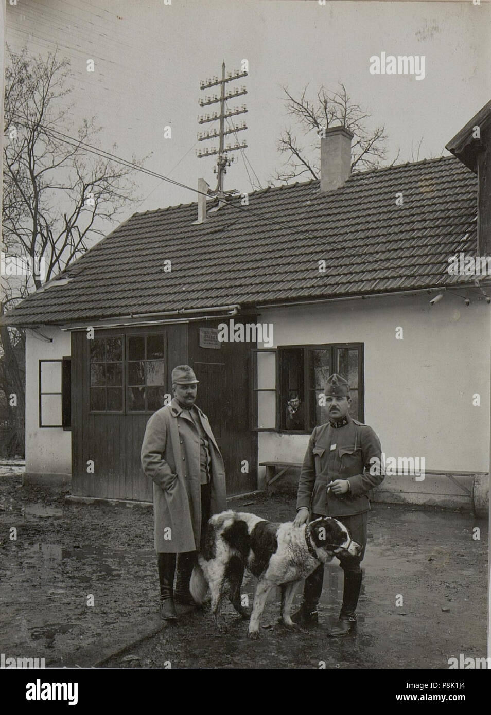 Mahala hi-res stock photography and images - Alamy