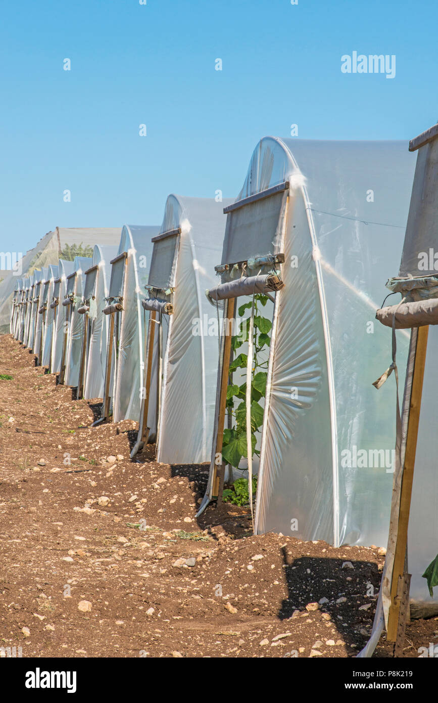 Greenhouse structure hi-res stock photography and images - Alamy