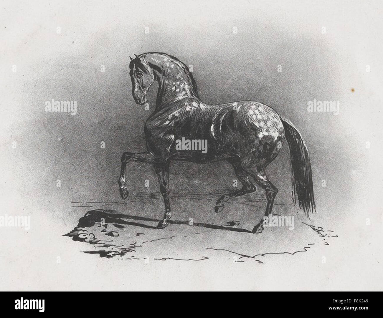 Gericault technique hi-res stock photography and images - Alamy
