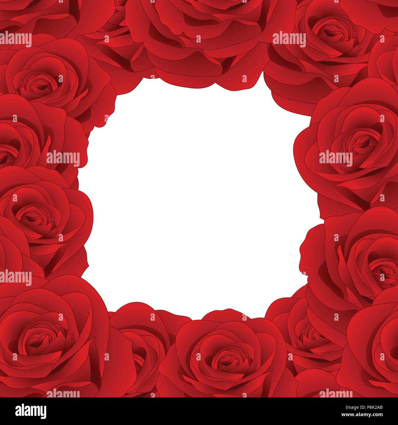 Beautiful Red Rose Border - Rosa isolated on White Background ...