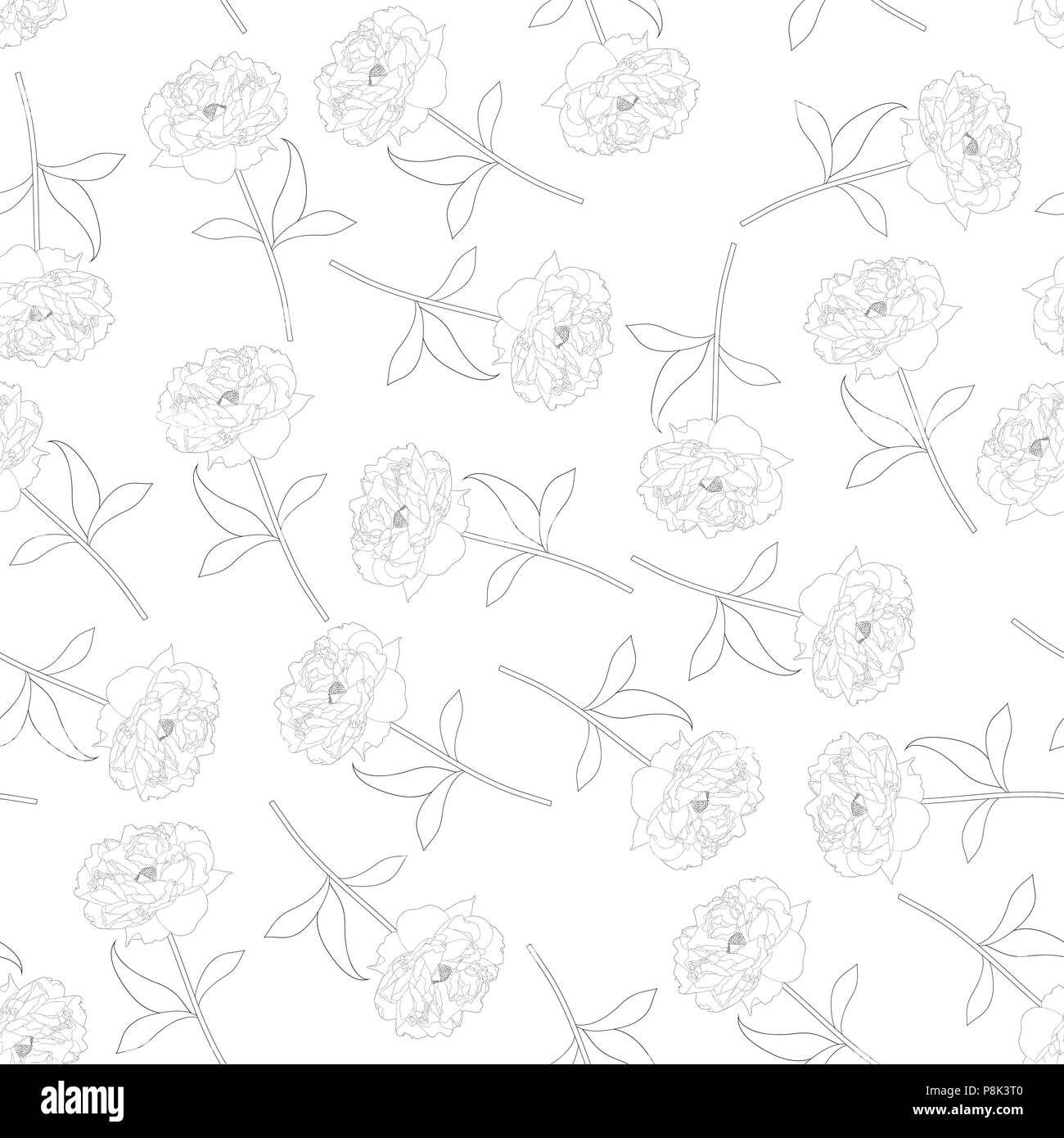 Peony Outline Seamless Background. Vector Illustration Stock Vector ...