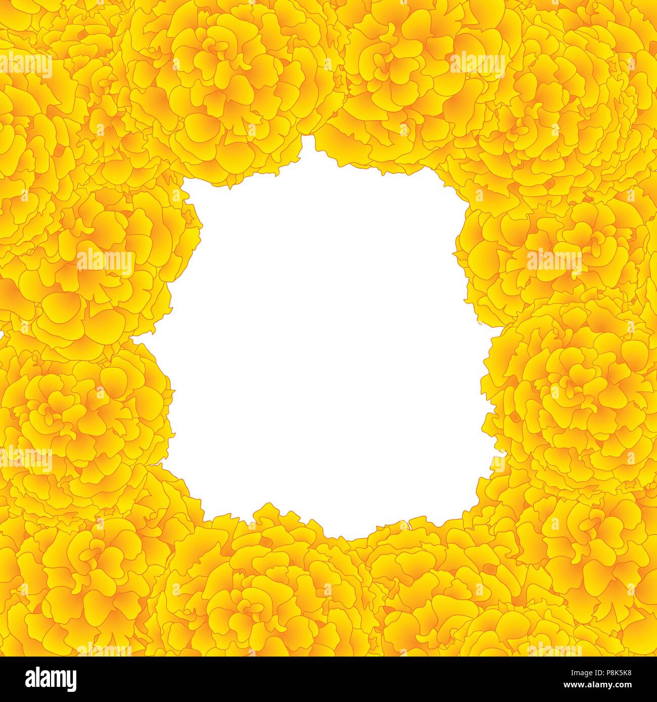 Yellow Marigold Border isolated on White Background. Vector ...