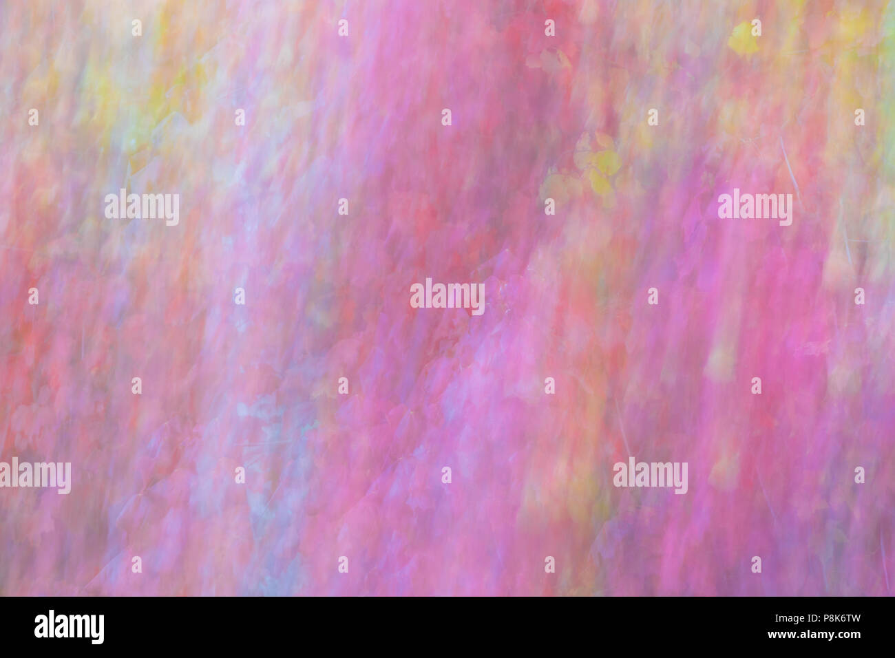 Autumn leaves pastel texture. Abstract blurred background. Shot with ...