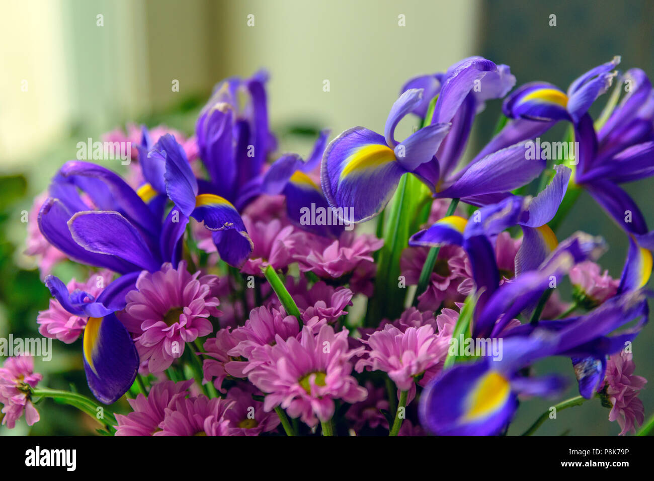 High contrast still life hi-res stock photography and images - Alamy