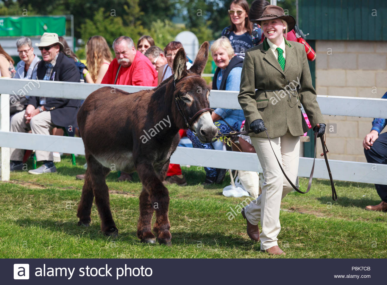 Woman With Donkey High Resolution Stock Photography and Images - Alamy