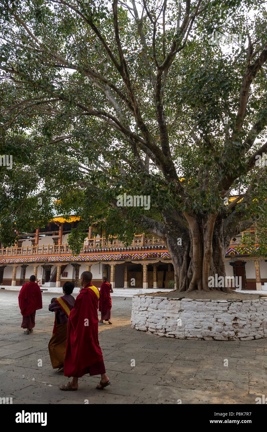 Punakha, Bhutan - April 10, 2016: Monks around the large white-washed ...