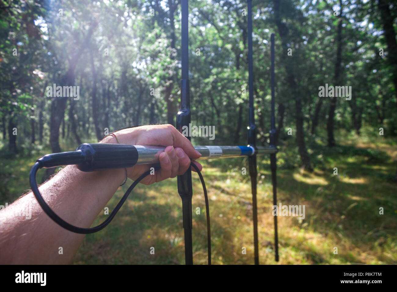 Tracking wildlife in the field with radio tracking antenna Stock Photo ...