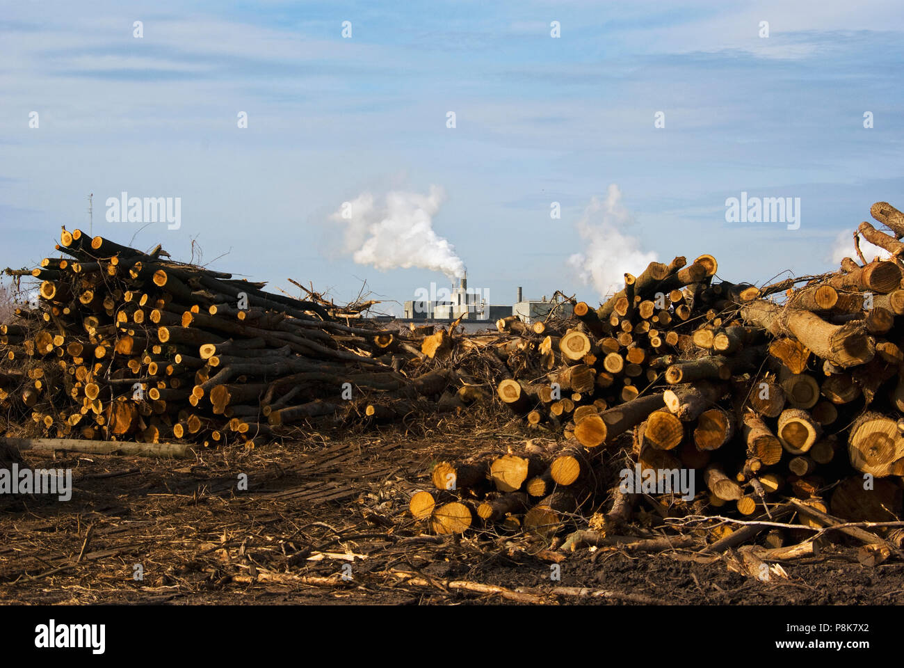 Phosphate mining hi-res stock photography and images - Alamy