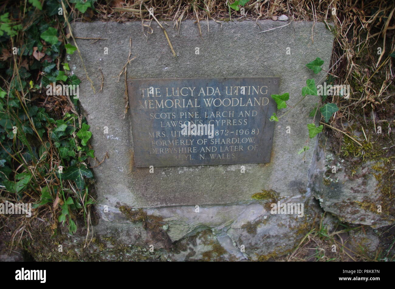 Lucy ada utting hi-res stock photography and images - Alamy