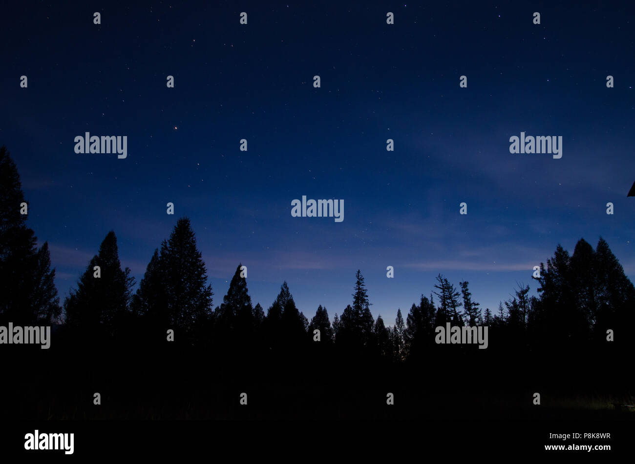 Branch supervision hi-res stock photography and images - Alamy