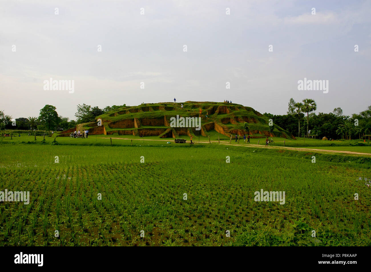 Gokul Medh an excavated mound in the village of Gokul under Bogra Sadar ...