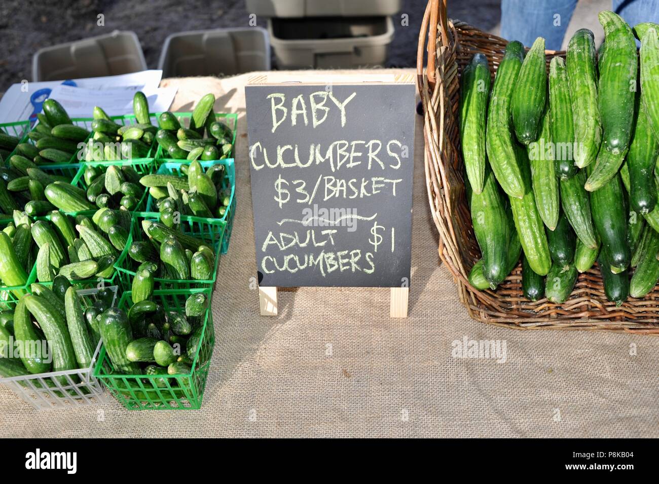 Adult all sizes hi-res stock photography and images - Alamy