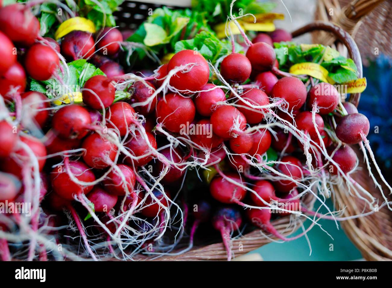 Georgia State Vegetable