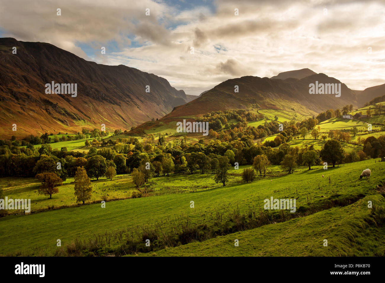 English british cumbrian countryside lakes hi-res stock photography and ...