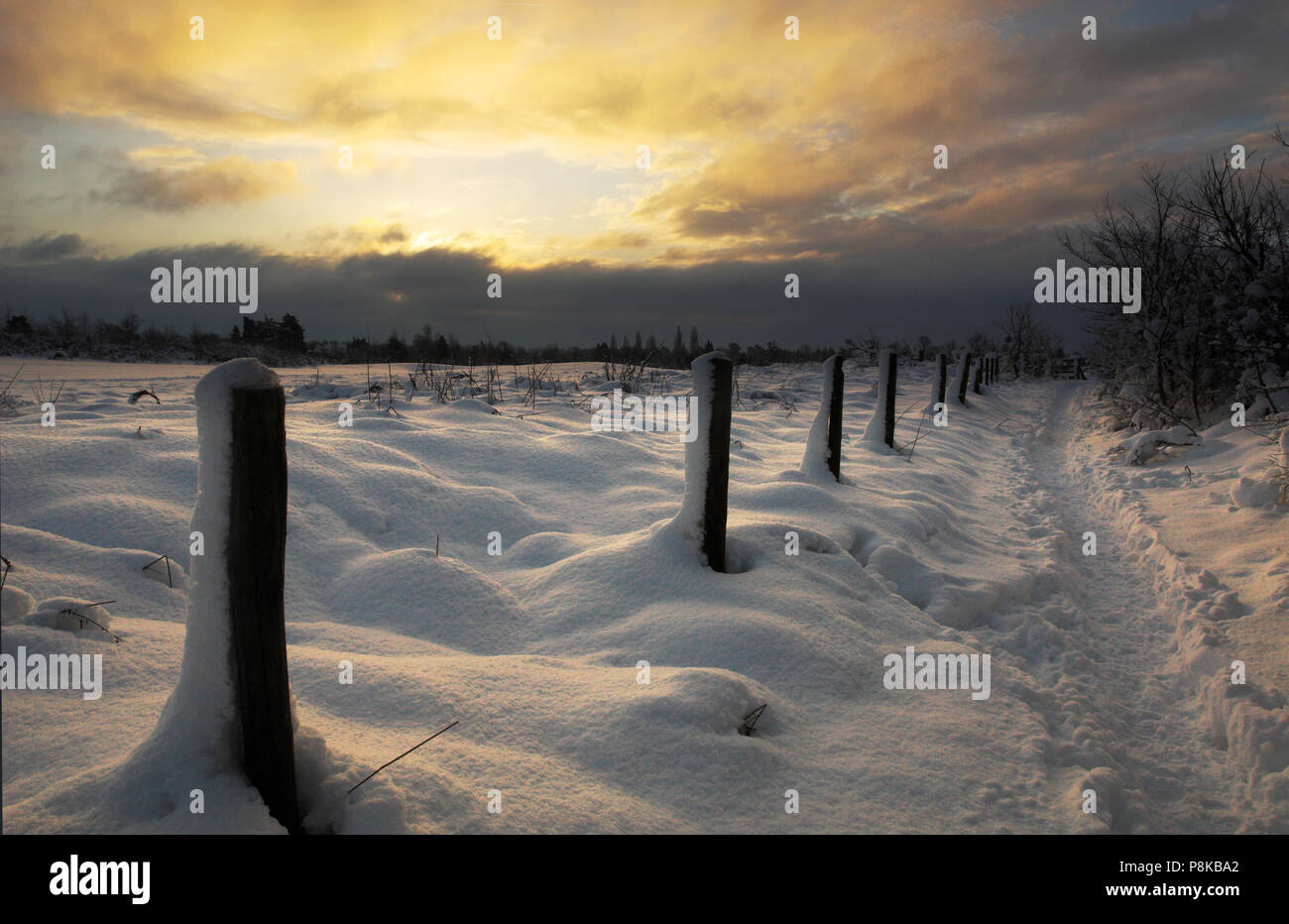 Winter Fields of Oxfordshire Stock Photo - Alamy
