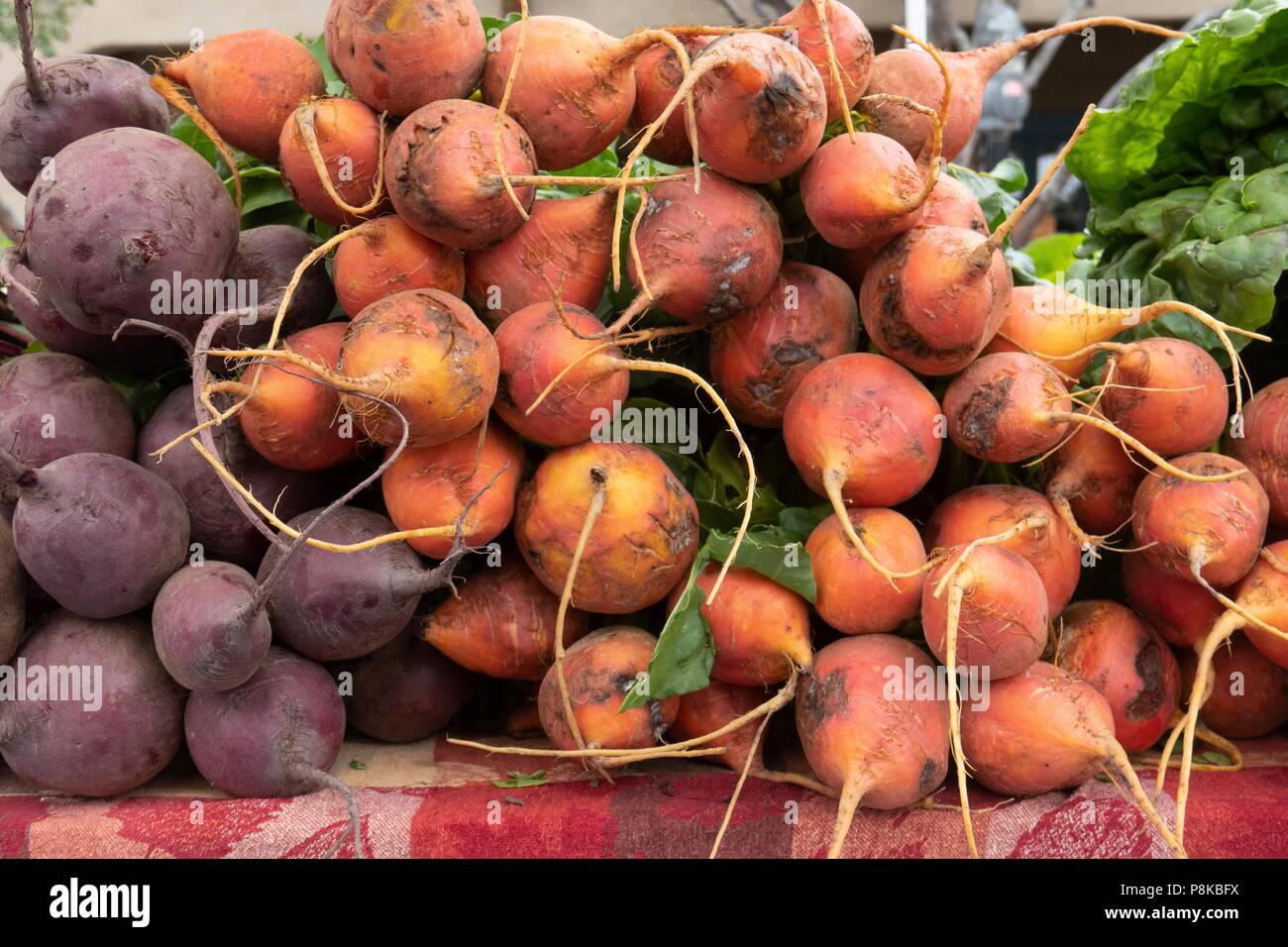 Organically grown Golden and purple beets for sale at a farmers market ...