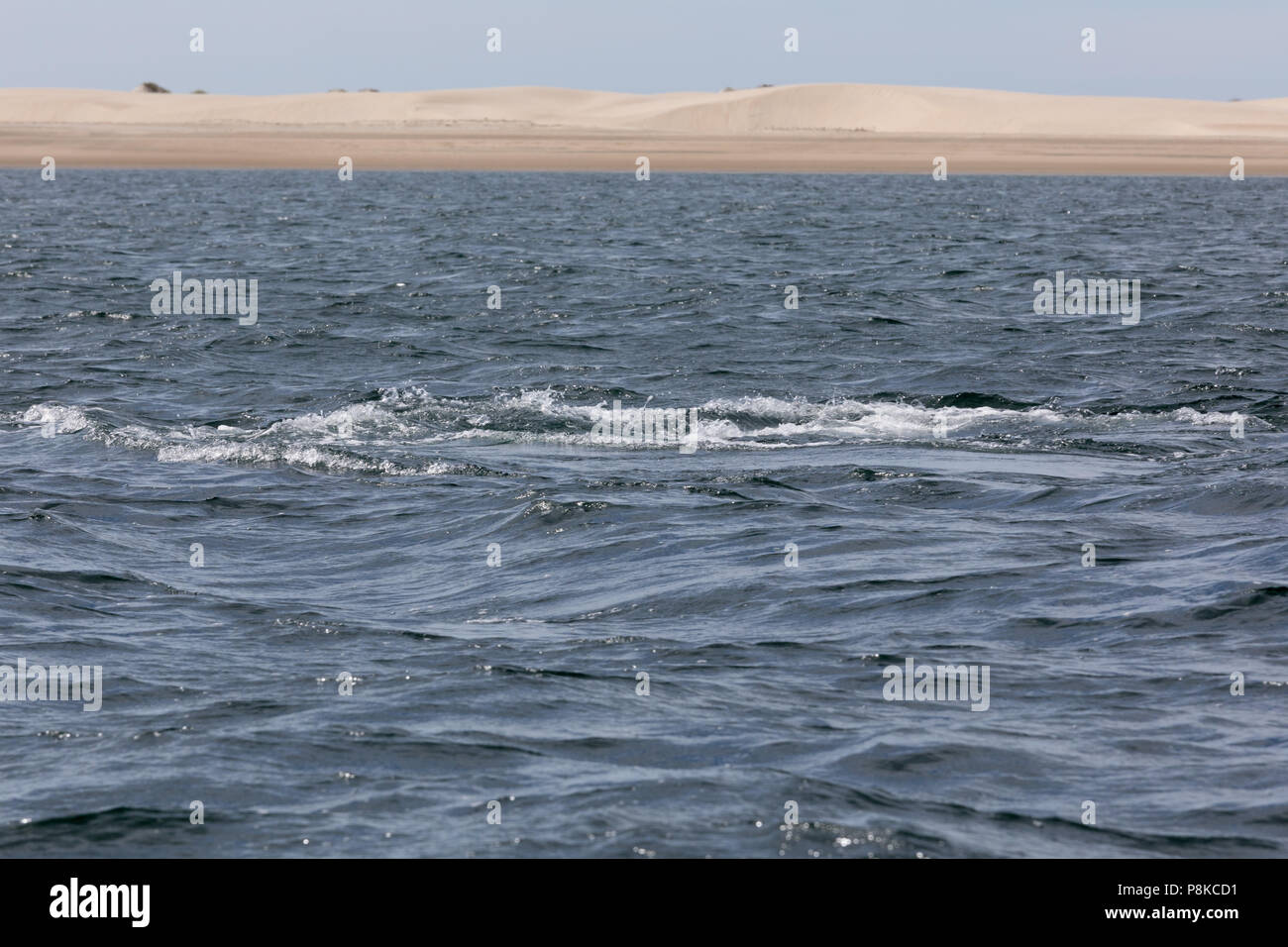 Whale backs hi-res stock photography and images - Alamy