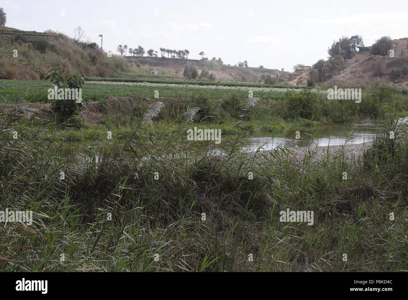 grass and river landscape Stock Photo - Alamy