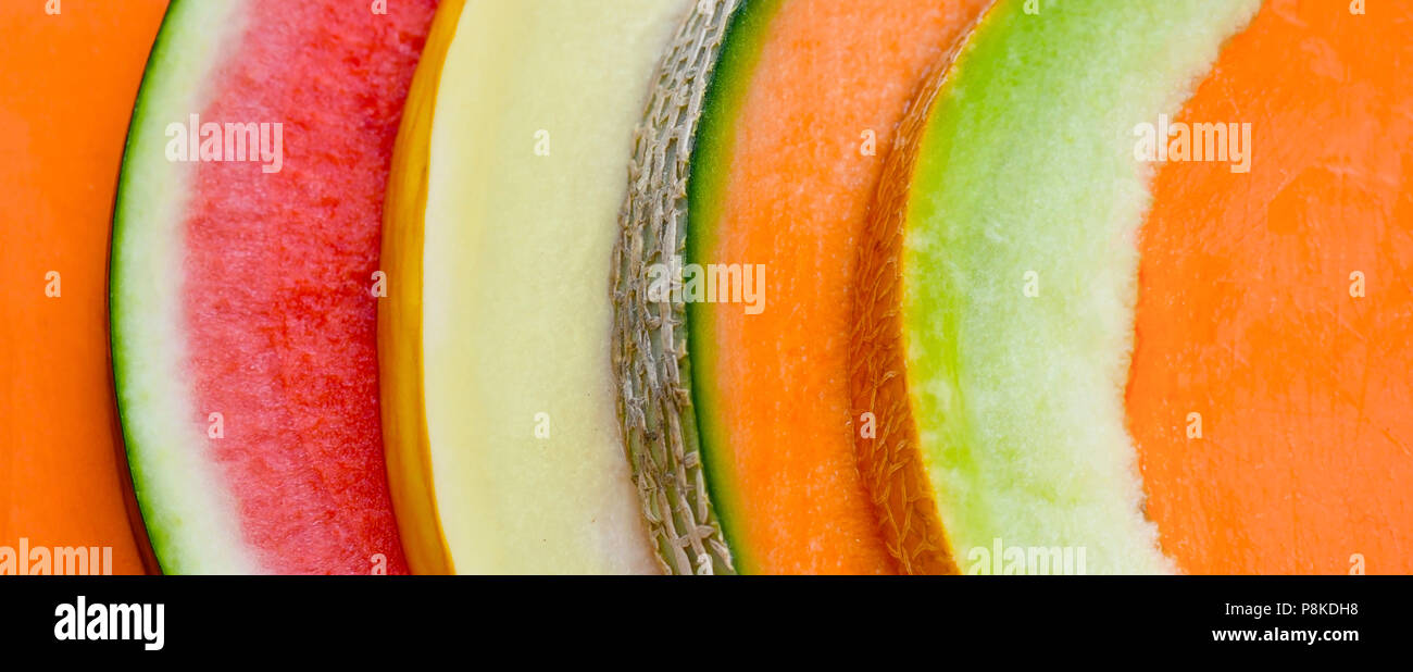 abstract of four different kinds of melon very coloful in a long format ...