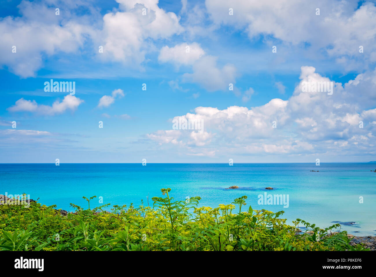 Landscape of the green rural Cornish hillside meadow and the turquoise ...