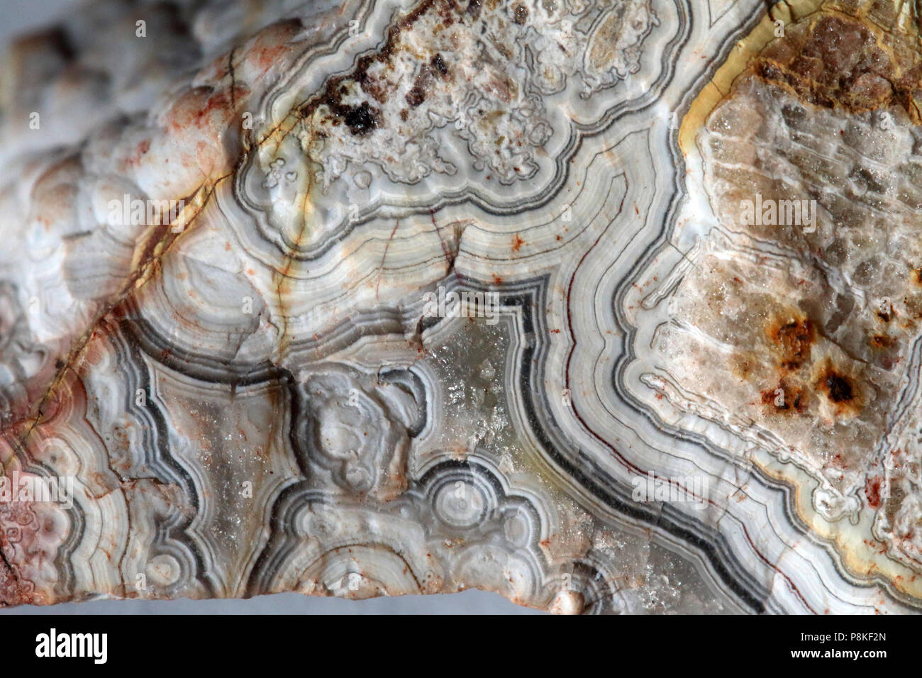 Mexican Crazy Lace, a form of finely banded agate found in Mexico.These ...