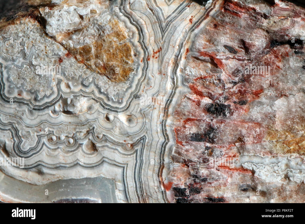 Mexican Crazy Lace, a form of finely banded agate found in Mexico.These ...