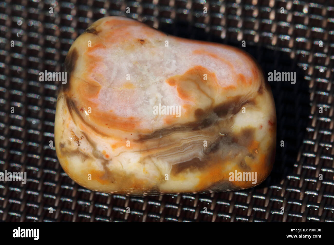 Prairie Agate, collected on the Buffalo Gap National Grasslands of ...