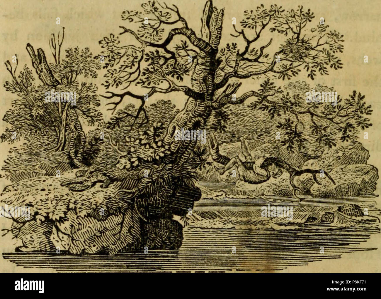 "A history of British birds : the figures engraved on wood" (1809 Stock ...