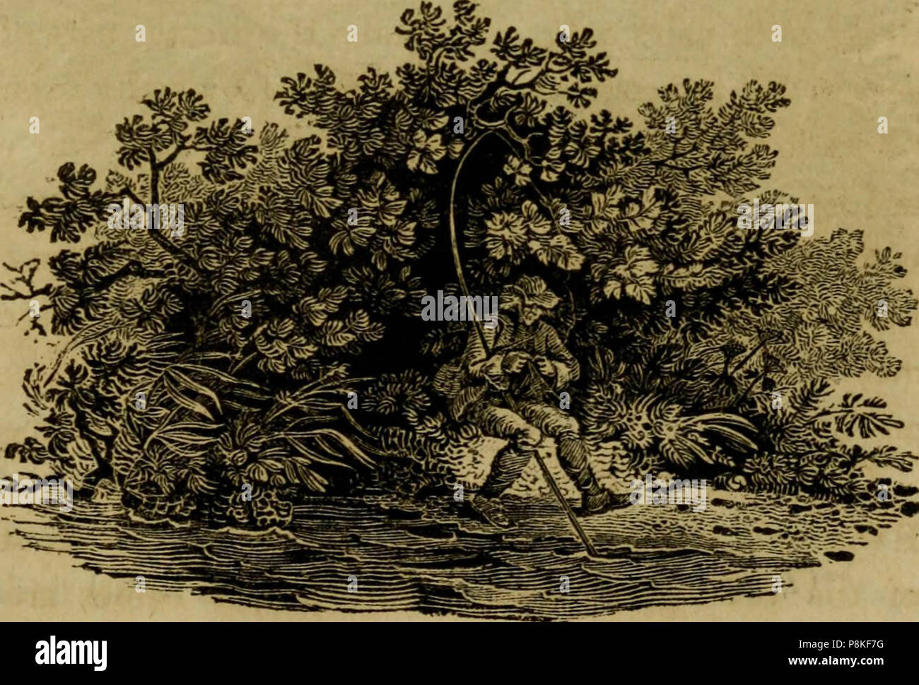 "A history of British birds : the figures engraved on wood" (1809 Stock ...