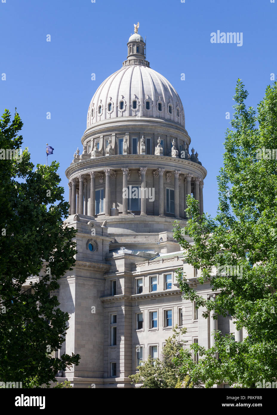 The capital building flanked by trees on either side Stock Photo - Alamy