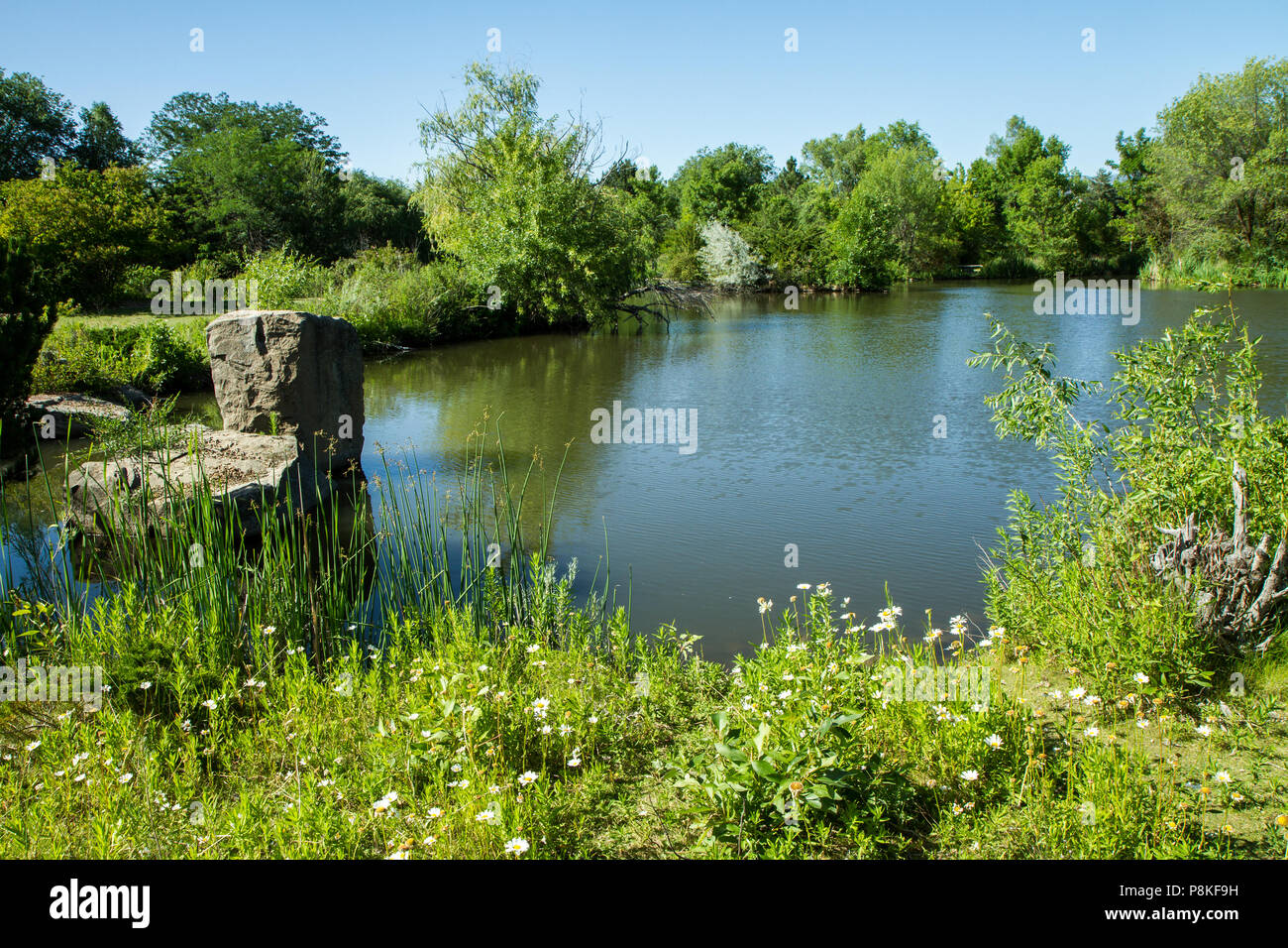 Fishing pond or just a nice view of a tranquil scene. Either idea works ...