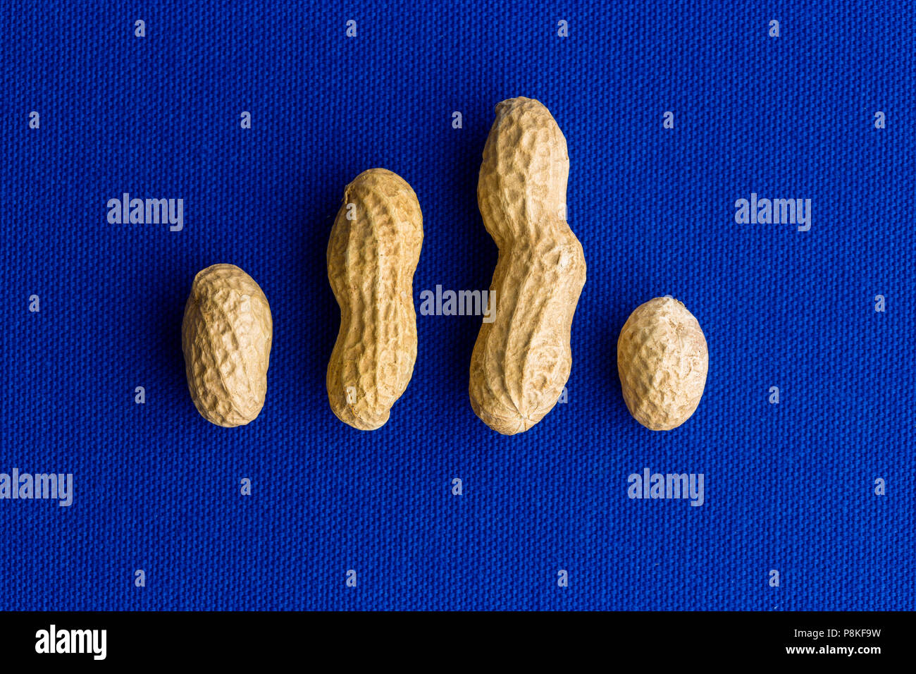 Meet the healthy peanut or groundnut family with two small children, a ...
