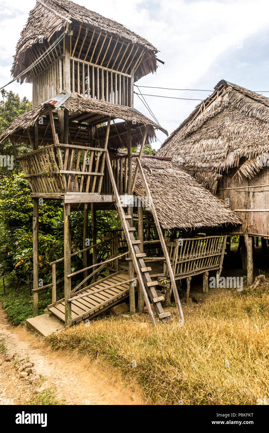Traditional rungus longhouse kampung bavanggazo Sabah Malaysia Island ...
