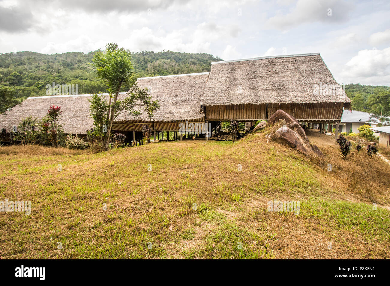 Traditional rungus longhouse kampung bavanggazo Sabah Malaysia Island ...