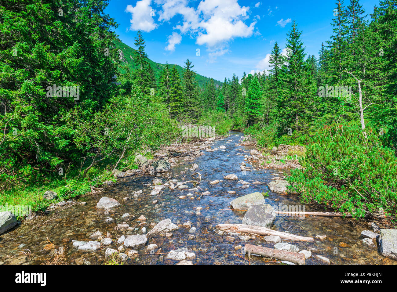 Serene mountain stream boulders hi-res stock photography and images - Alamy