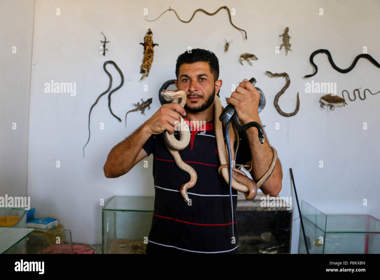 Palestinian snakes hi-res stock photography and images - Alamy