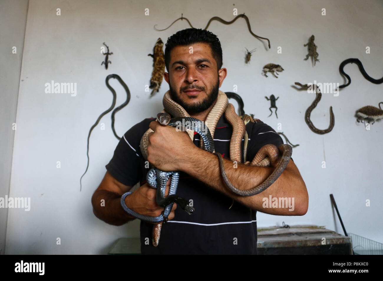 Palestinian snakes hi-res stock photography and images - Alamy