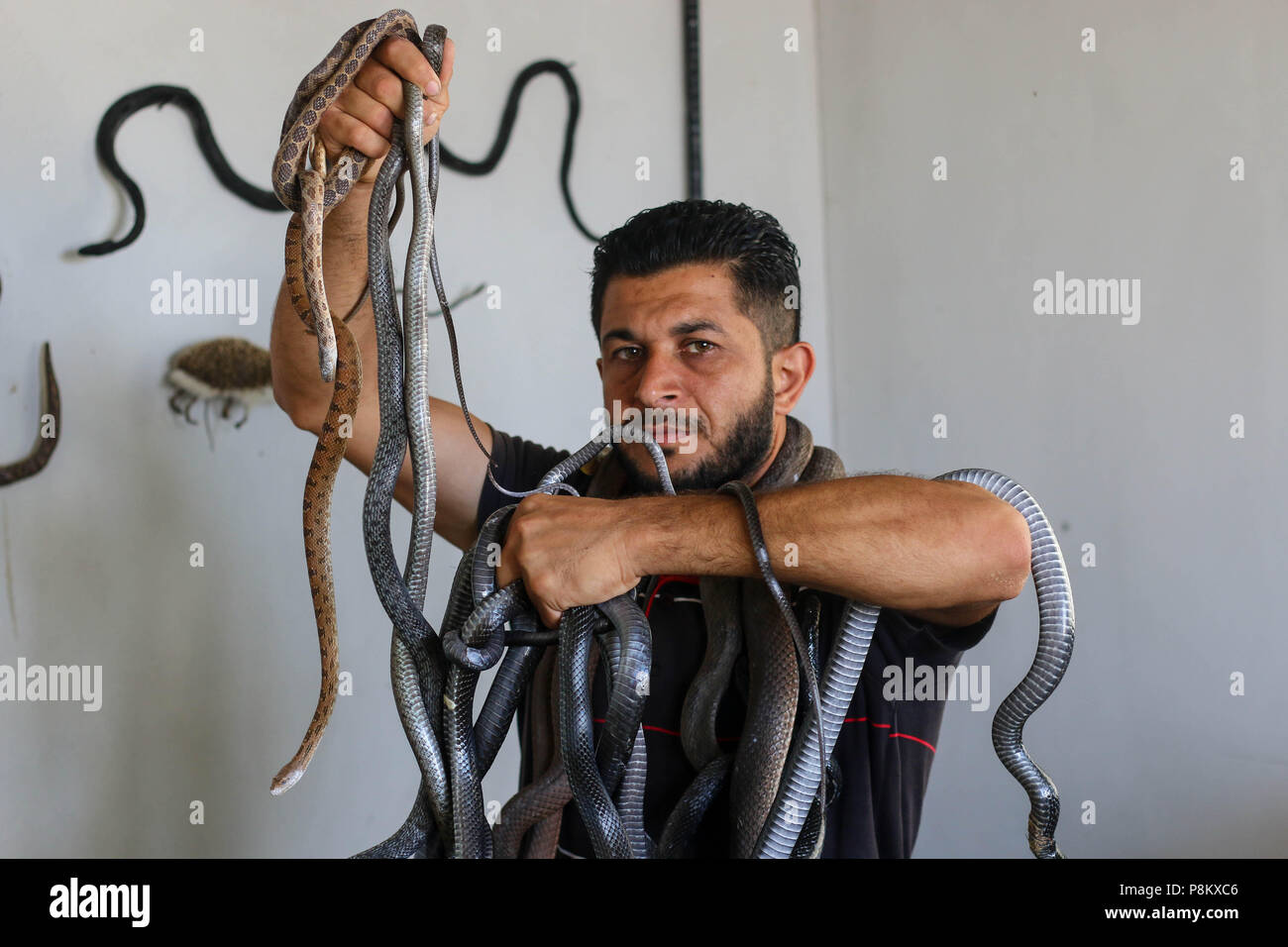 Palestinian snakes hi-res stock photography and images - Alamy