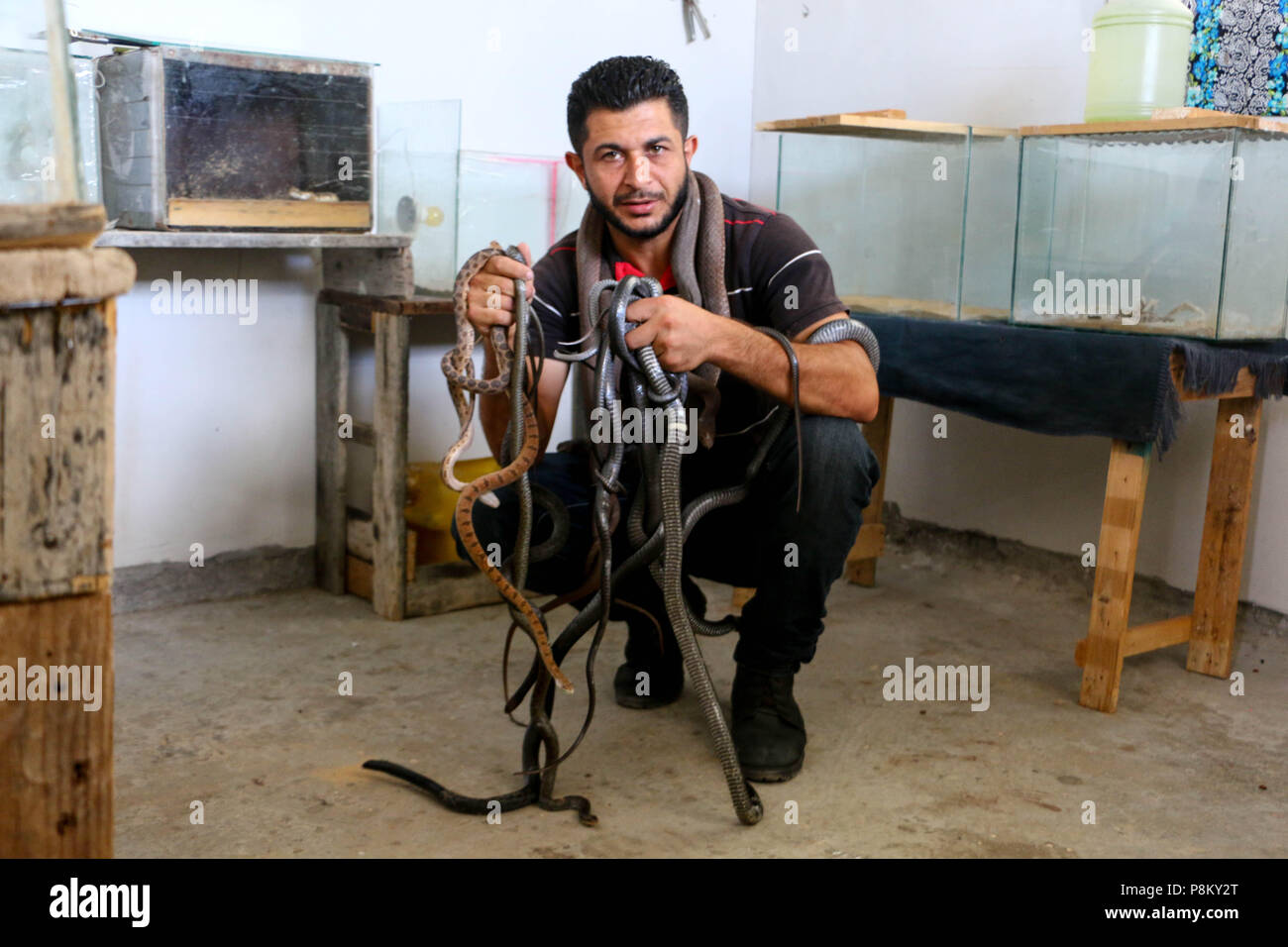 Palestinian snakes hi-res stock photography and images - Alamy