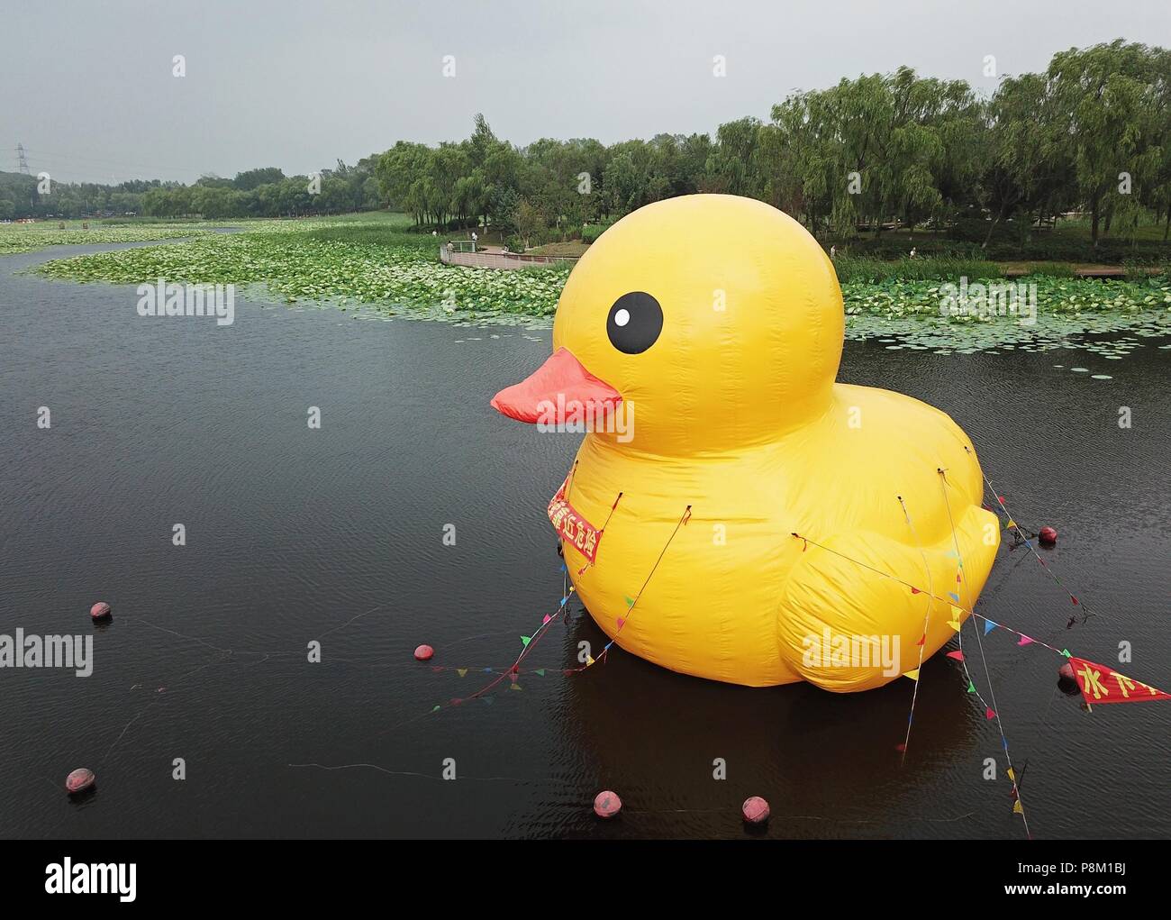 Shenyan, Shenyan, China. 13th July, 2018. Shenyang, CHINA-A 12-meter ...