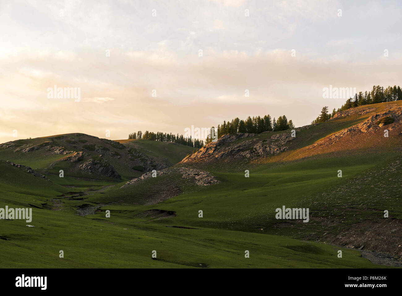 Balikun grassland hi-res stock photography and images - Alamy