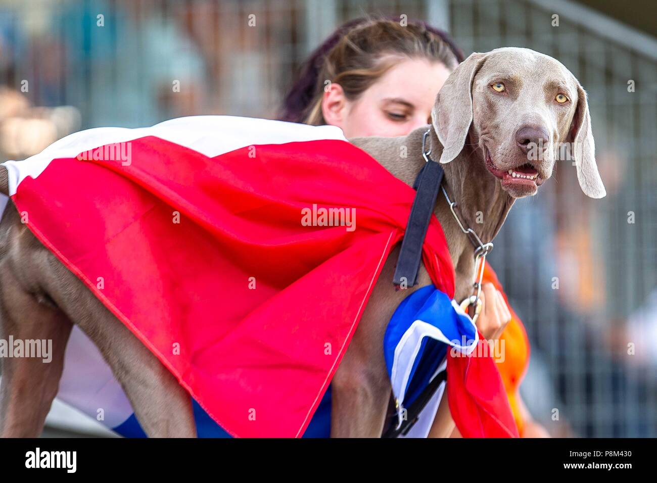 Fei flag hi-res stock photography and images - Alamy