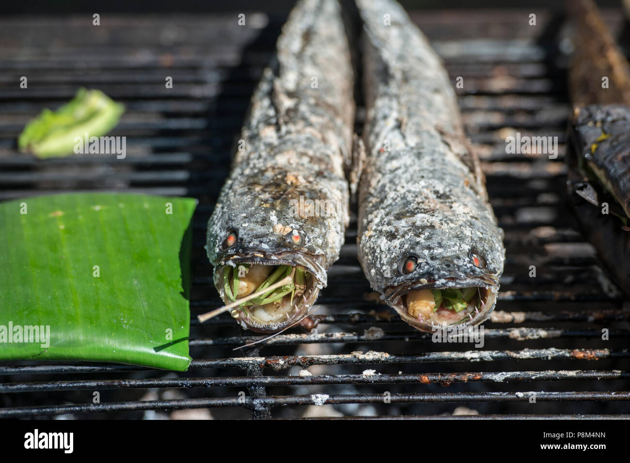 Khmer coocking hi-res stock photography and images - Alamy